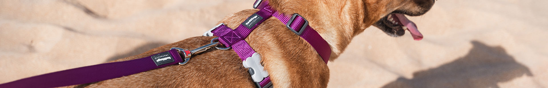 Comfortable H-Style Harnesses | Red Dingo UK
